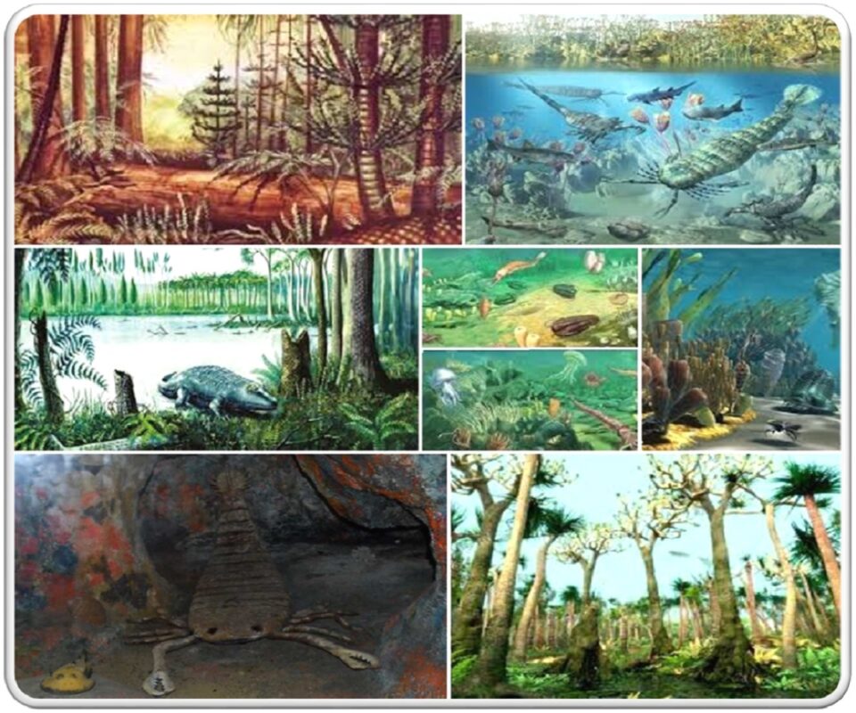 Ordovcico De La Era Paleozoica Flora Y Fauna Fauna Ordovícico