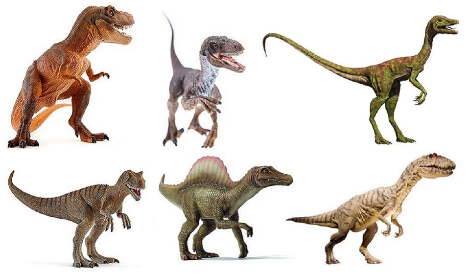 LE CARATTERISTICHE DEI DINOSAURI CARNIVORI