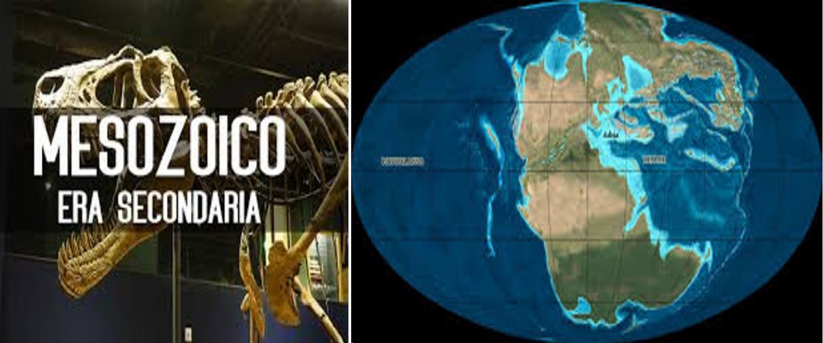 L’AMBIENTE DEL MESOZOICO