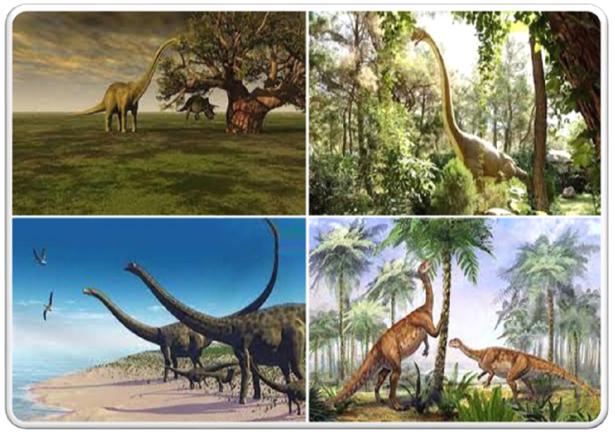 I DINOSAURI ERBIVORI